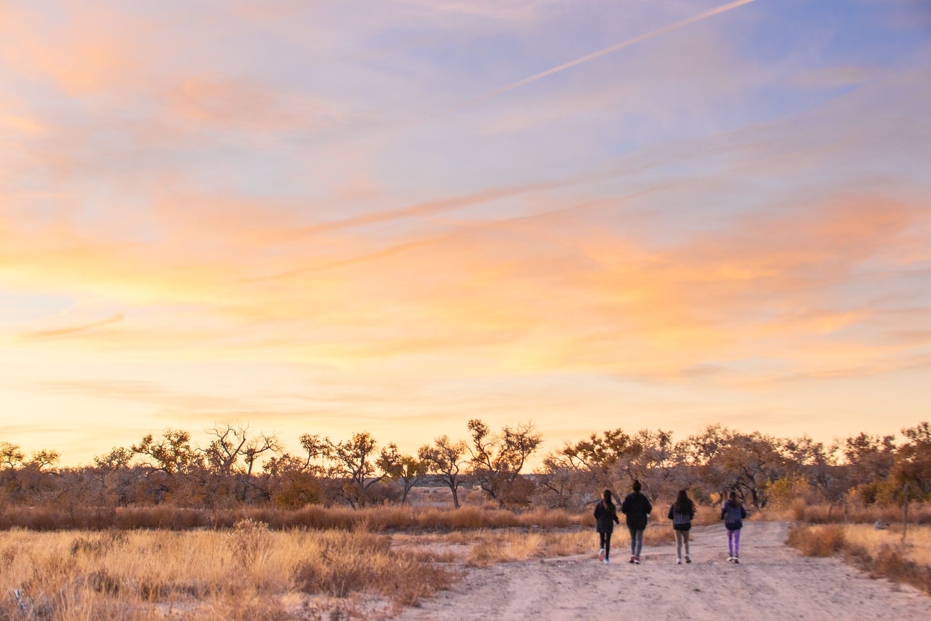 How Does My Nike.com Shipment Impact the Environment? | Nike Help